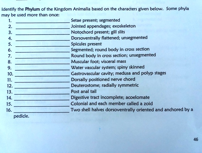identify the phylum of the kingdom animalia based on the characters ...