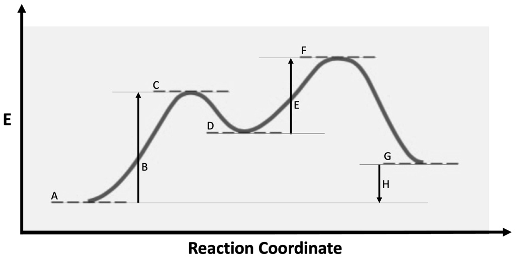 SOLVED: Consider the following Energy Reaction Coordinate Diagram F E G ... SOLVED: Consider the following Energy Reaction Coordinate Diagram F E G ...