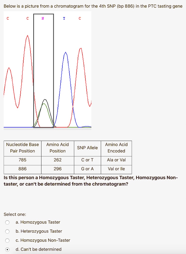 below is a picture from a chromatogram for the 4th snp bp 886 in the ...