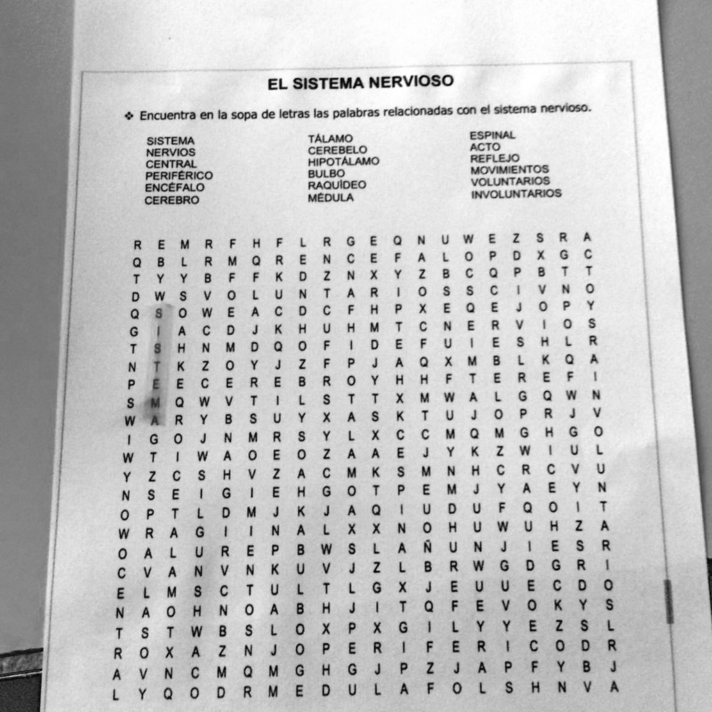 SOLVED: Encuentra en la sopa de letras las palabras relacionadas con el ...