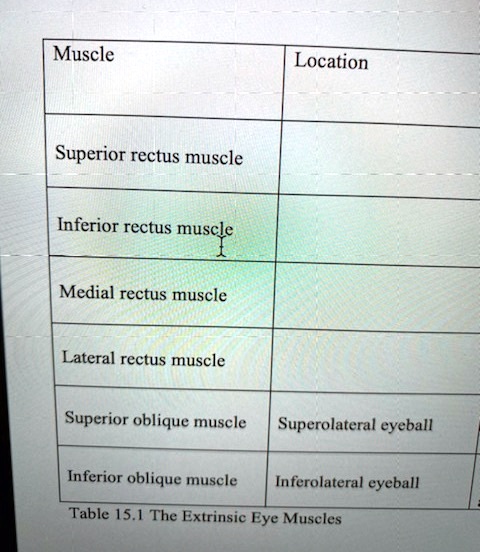 SOLVED: Muscle Location Superior rectus muscle Inferior rectus muscle ...