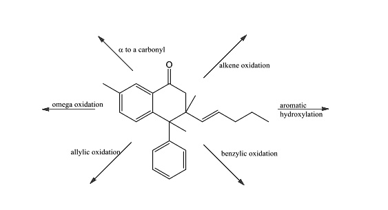 Omega oxidation ? to a carbonyl allilic oxidation alkene...