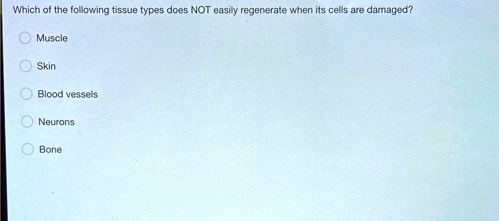 Which of the following tissue types does NOT easily regenerate when its ...