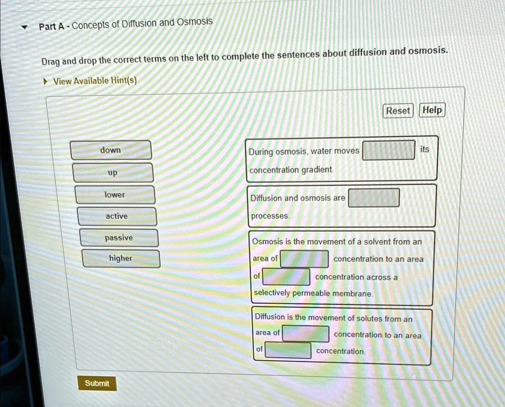 Part A - Concepts of Diffusion and Osmosis Drag and drop the correct ...