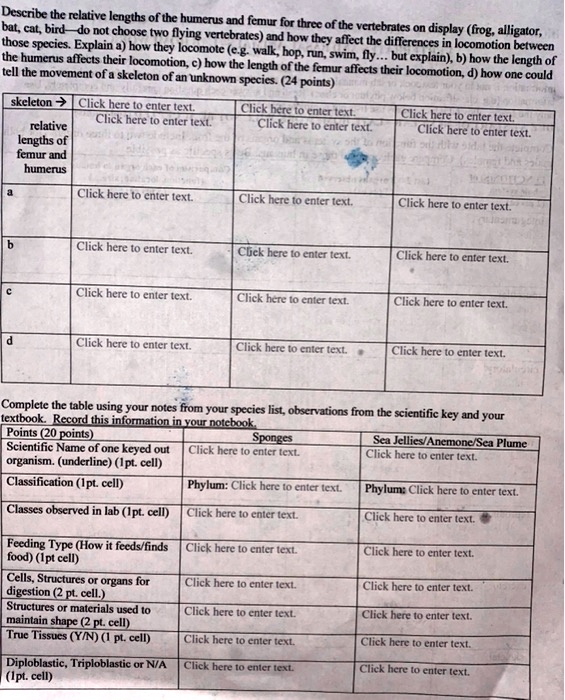 SOLVED: Describe the relative lengths of the humerus and femur for ...