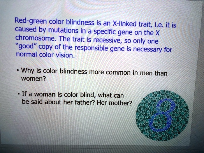 red green color blindness is an x linked trait ie it is caused by ...