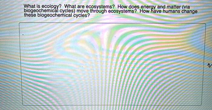 SOLVED: What are ecosystems? How does energy and matter (via cycles ...