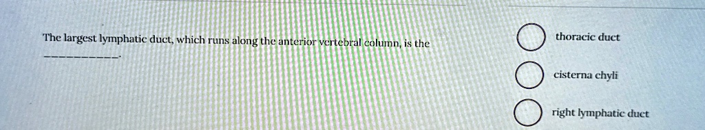 The largest lymphatic duct, which runs along the anterior vertebral ...