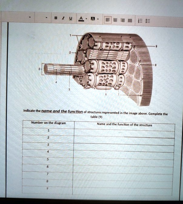 SOLVED: Indicate the name and the function of structures represented in the image above ...
