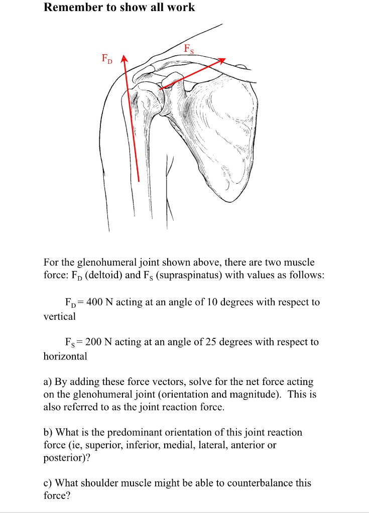 SOLVED: Remember to show all work Fo For the glenohumeral joint shown ...