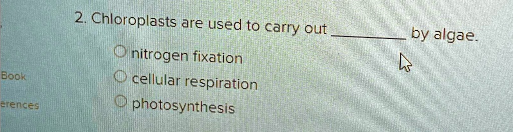 SOLVED: Chloroplasts are used to carry out: - nitrogen fixation ... SOLVED: Chloroplasts are used to carry out: - nitrogen fixation ...