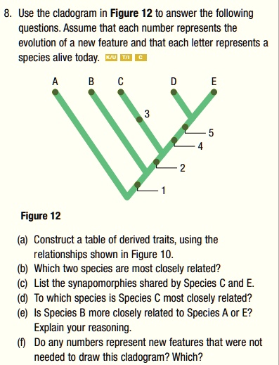 SOLVED: Use the cladogram in Figure 12 to answer the following questions. Assume that each ...