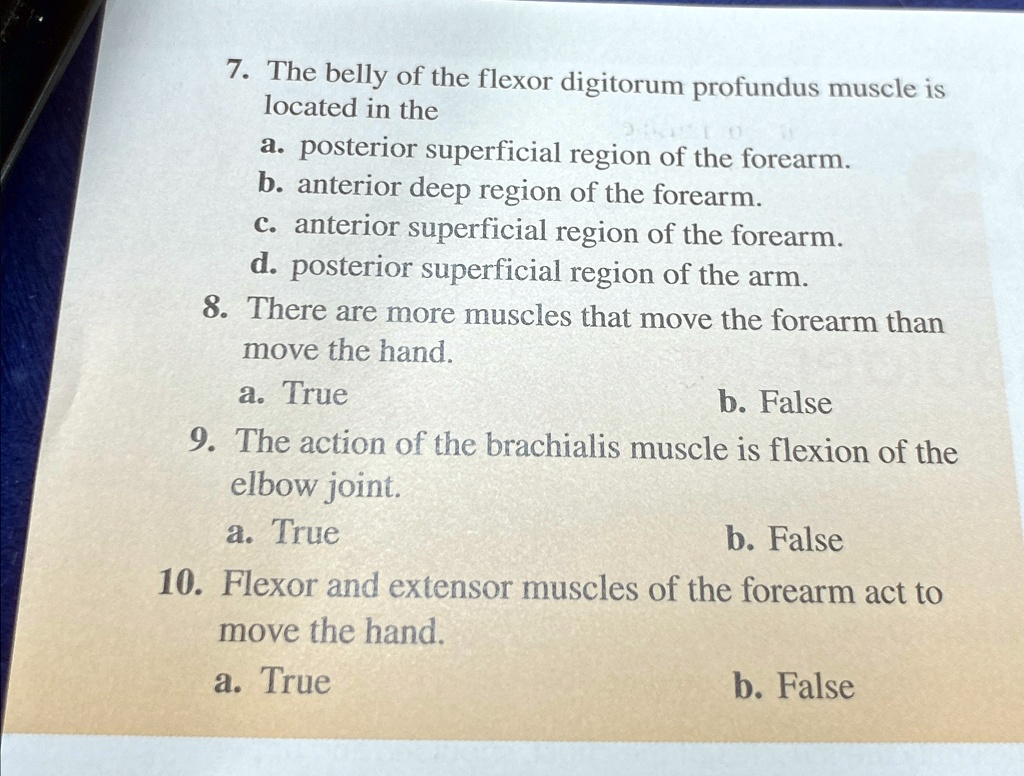 7. The belly of the flexor digitorum profundus muscle is located in the ...