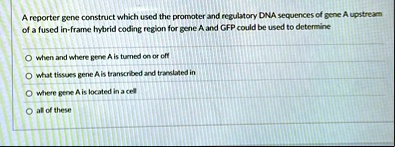a reporter gene construct which used the promoter and regulatory dna ...