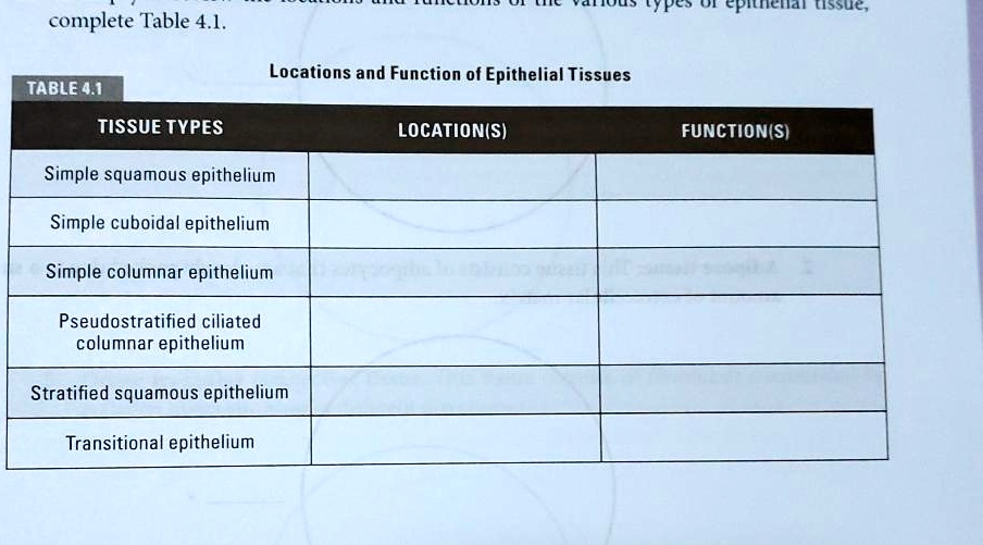 complete Table 4.1. Locations and Function of Epithelial Tissues TABLE 4.1 TISSUE TYPES LOCATION ...