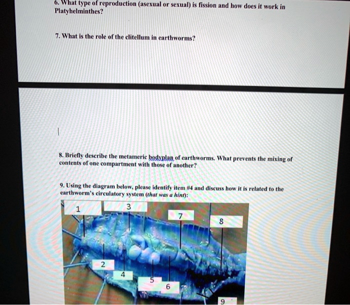 SOLVED: What type of reproduction (asexual or sexual) is fission and ...