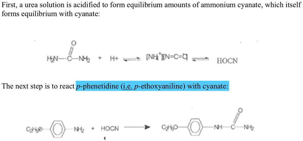 first a urea solution is acidified to form equilibrium amounts of ...