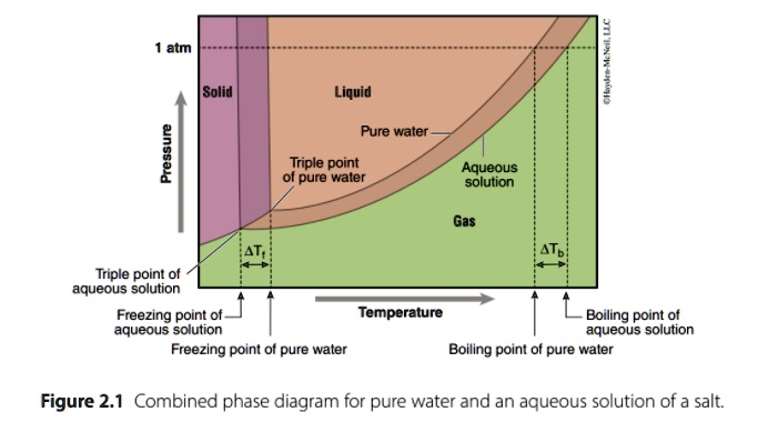 SOLVED:atm Solid Liquid Pure water L Triple point pure water Aqueous ...