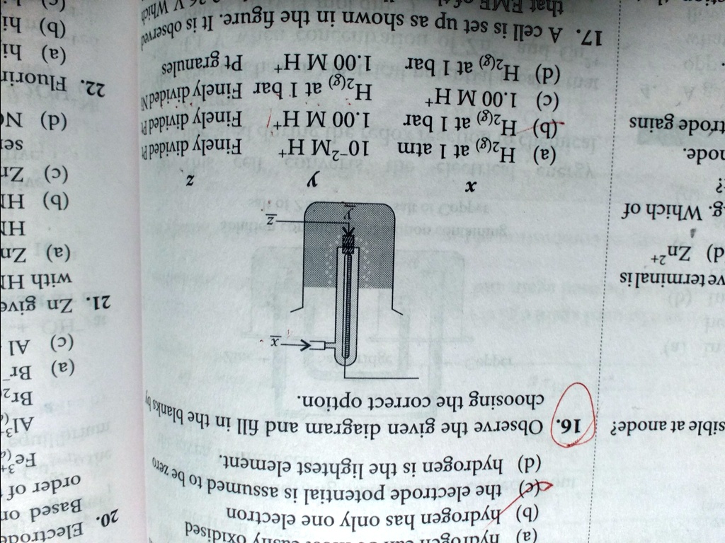 Solved Observe The Given Diagram And Fill In The Blanks By Choosing