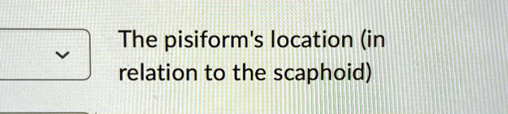 The pisiform's location (in relation to the scaphoid) The pisiform's ...