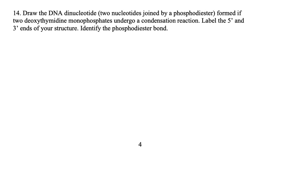 SOLVED: 14. Draw the DNA dinucleotide (two nucleotides joined by a ...