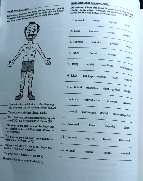 READ THE DIAGRAM Directions: Indicate the letter on the diagram that is ...