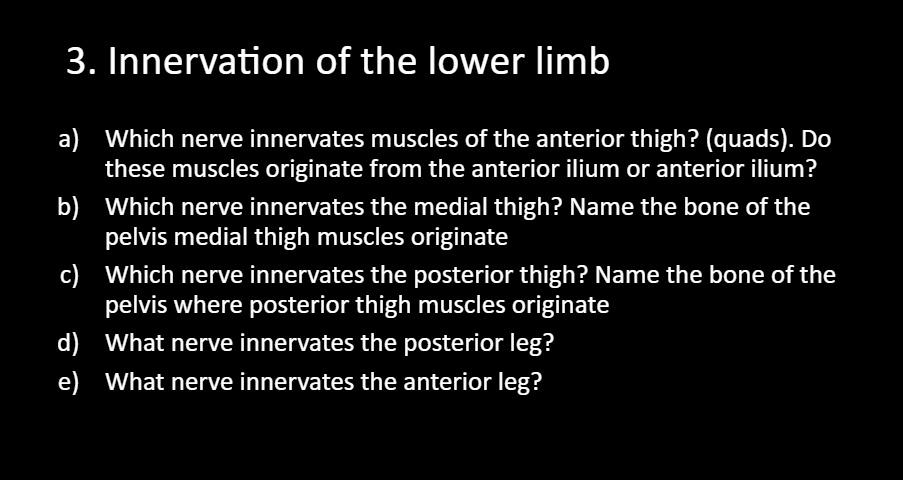 SOLVED: 3. Innervation of the lower limb a Which nerve innervates ...