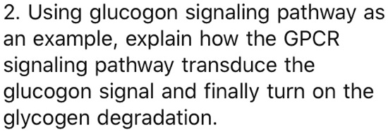 SOLVED: 2. Using glucogon signaling pathway as an example, explain how the GPCR signaling ...