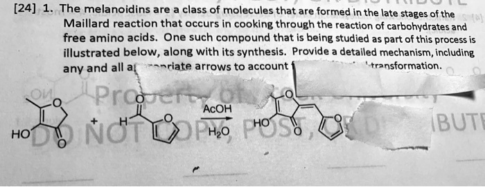 SOLVED: [24] The melanoidins are a class of molecules that are formed ...