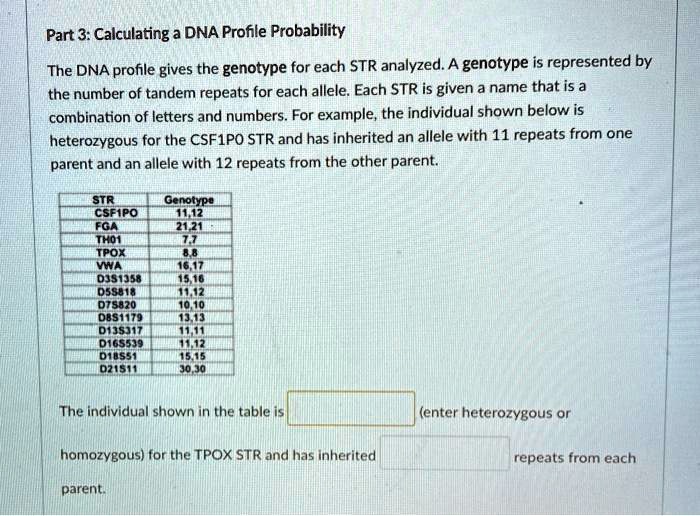 SOLVED:Part 3: Calculating a DNA Profile Probability The DNA profile ...