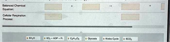 SOLVED: Texts: Balanced Chemical Equation: Cellular Respiration Process ...