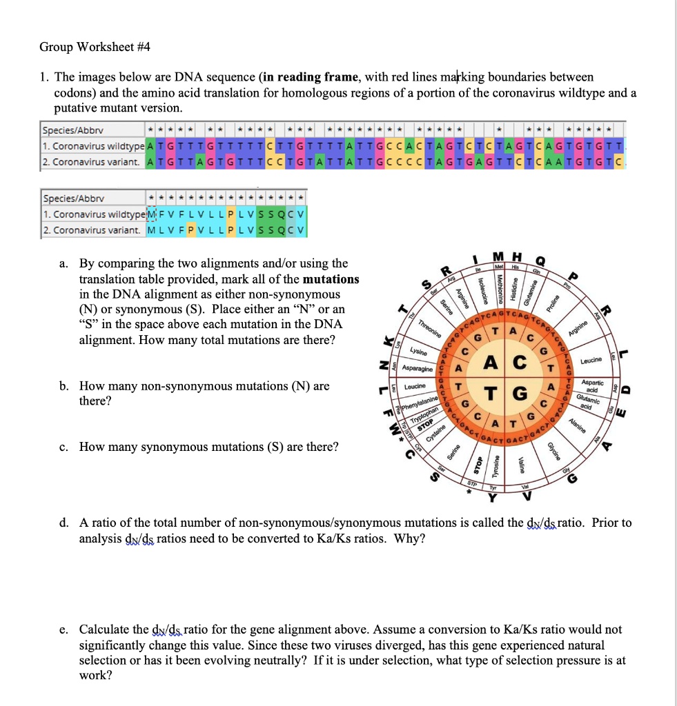 group worksheet 4 the images below are dna sequence in reading frame ...