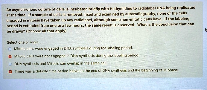 SOLVED: An asynchronous culture of cells is incubated briefly with H ...