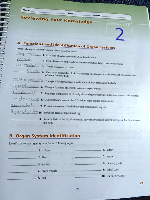 Name Date Reviewing Your Knowledge Section EXERCISE 2 A. Functions and ...