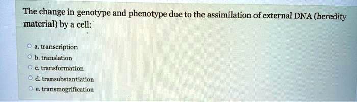 the change in genotype and phenotype due to the assimilation of ...