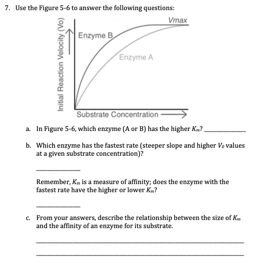 use the figure 5 to answer the following questions vmax 2 enzyme 0 ...