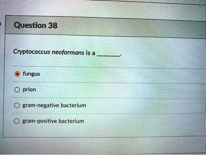 SOLVED: Question 38 Cryptococcus neoformans is a fungus prion gram ... SOLVED: Question 38 Cryptococcus neoformans is a fungus prion gram ...