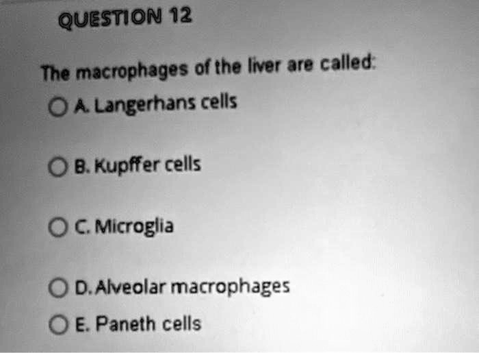 SOLVED: Question 12: The macrophages of the liver are called Langerhans cells, Kupffer cells ...