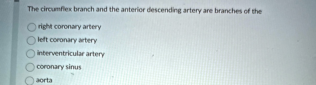 The circumflex branch and the anterior descending artery are branches ...