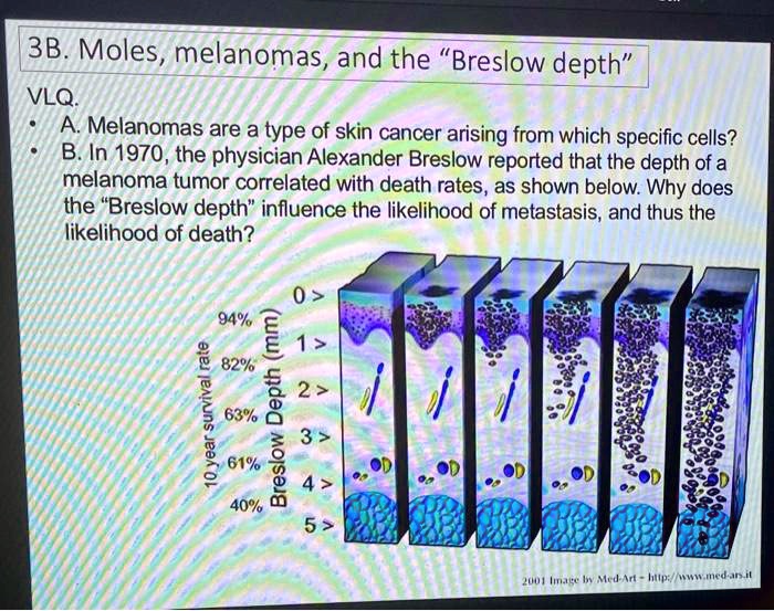 SOLVED: 38. Moles, melanomas, and the "Breslow depth". Melanomas are a ...