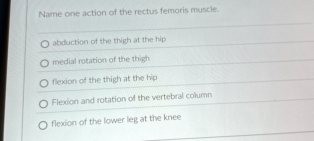 Name one action of the rectus femoris muscle. abduction of the thigh at ...