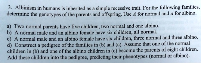 albinism in humans is inherited as a simple recessive trait for the ...