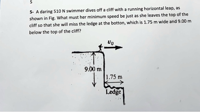 S 5- A daring 510 N swimmer dives off a cliff with a running horizontal ...