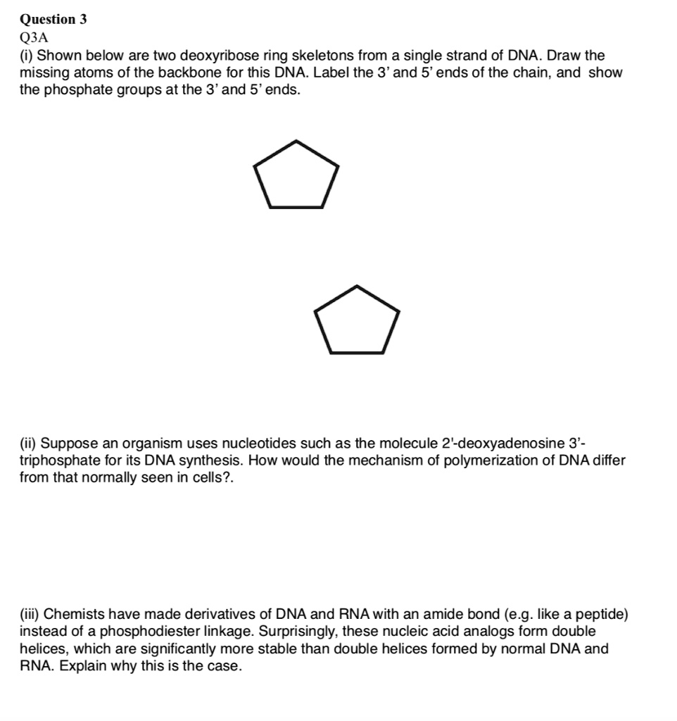 SOLVED: Question 3 Q3A Shown below are two deoxyribose ring skeletons from a single strand of ...