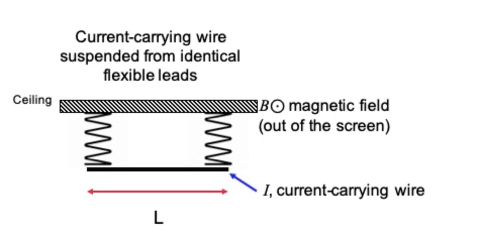 SOLVED: Current-carrying wire suspended from identical flexible leads ...