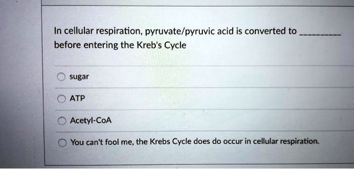 SOLVED: In cellular respiration, pyruvate/pyruvic acid is converted to Acetyl-CoA before ...