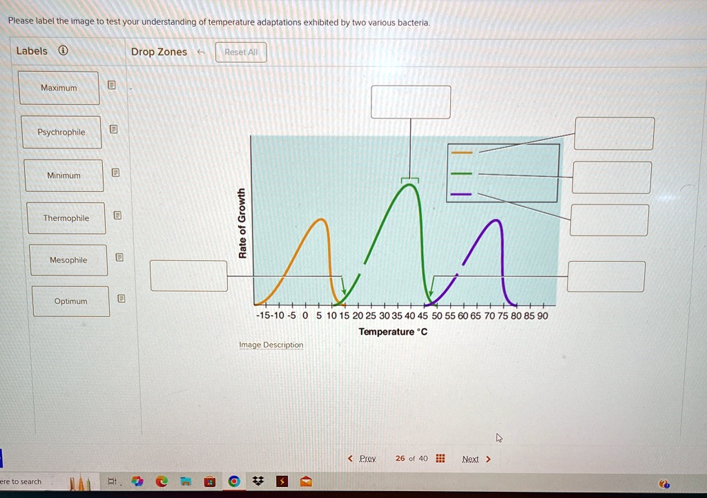 please label the image to test your understanding of temperature ...