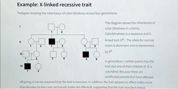 Example: X-linked recessive trait Pedigree showing the...