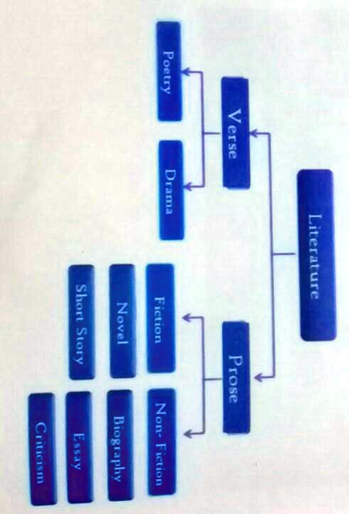 SOLVED: Read the following tree diagram and convert it into a paragraph ...