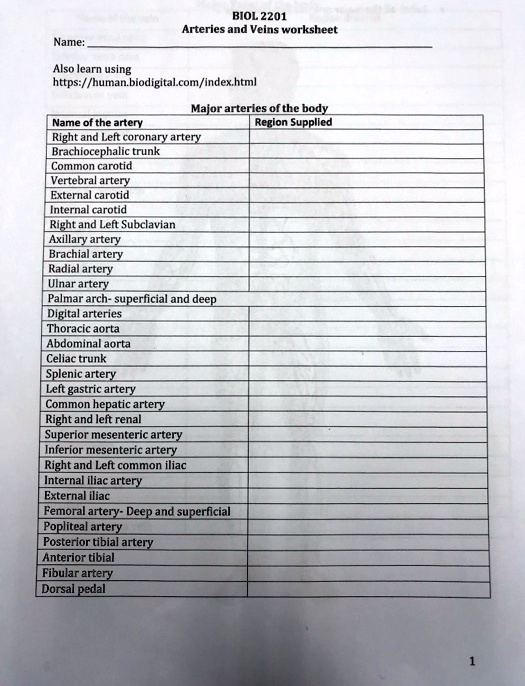 BIOL 2201 Arteries and Veins worksheet Name: Also learn using https ...